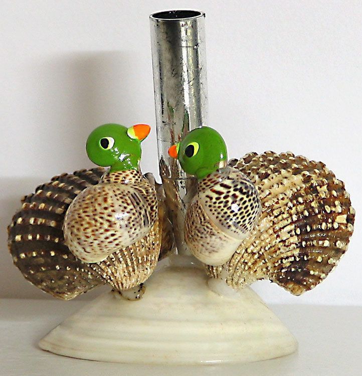 Shell Craft | UNP